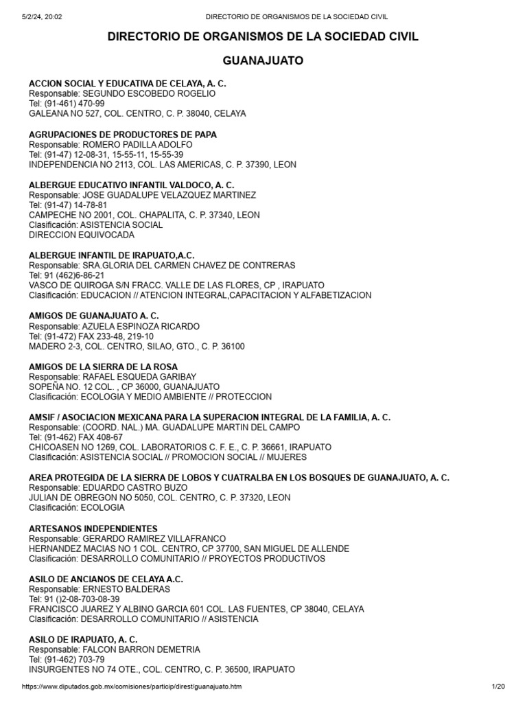 ONG en Gto | PDF | México