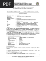 Modelo de Acto de Inicio de Pad | PDF | Derecho