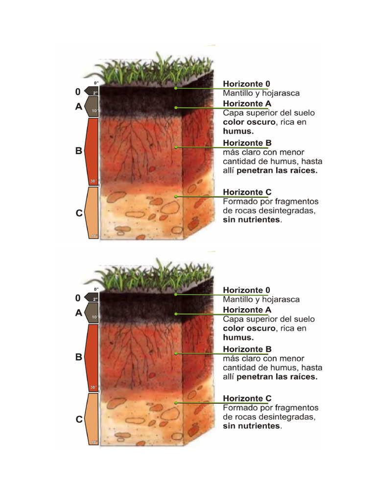 Capas Del Suelo | PDF