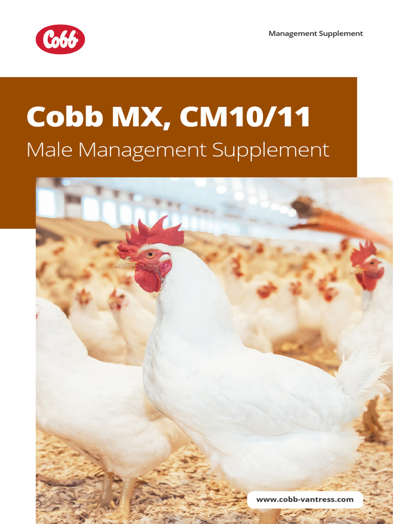 Cobb MX, CM10/11 Male Management Guide | PDF | Broiler | Nutrients