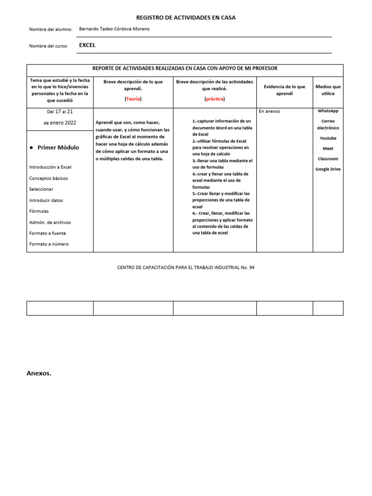 1er Reporte de Actividades | PDF | Microsoft Excel | Hoja de cálculo
