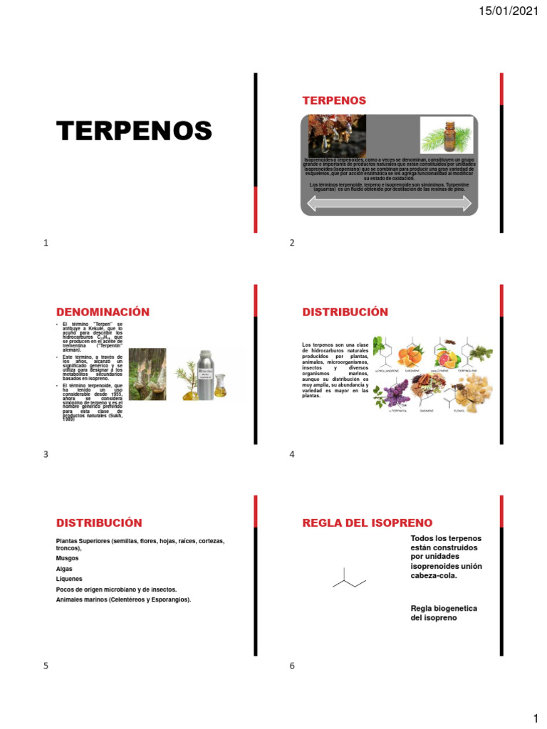 Terpenos 2020 Pdf Destilación Química
