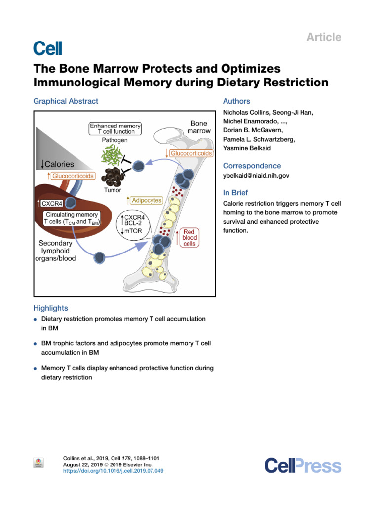 The Bone Marrow Protects and OptimizesImmunological Memory During ...