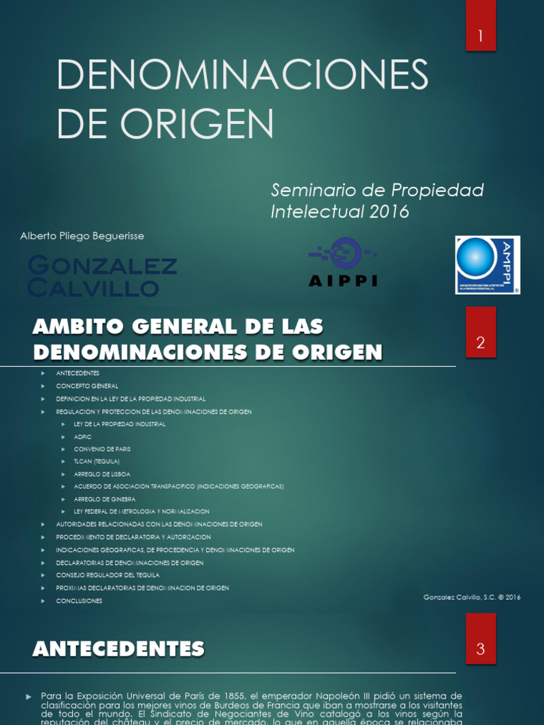 Protección de Denominaciones de Origen | PDF | Patentar