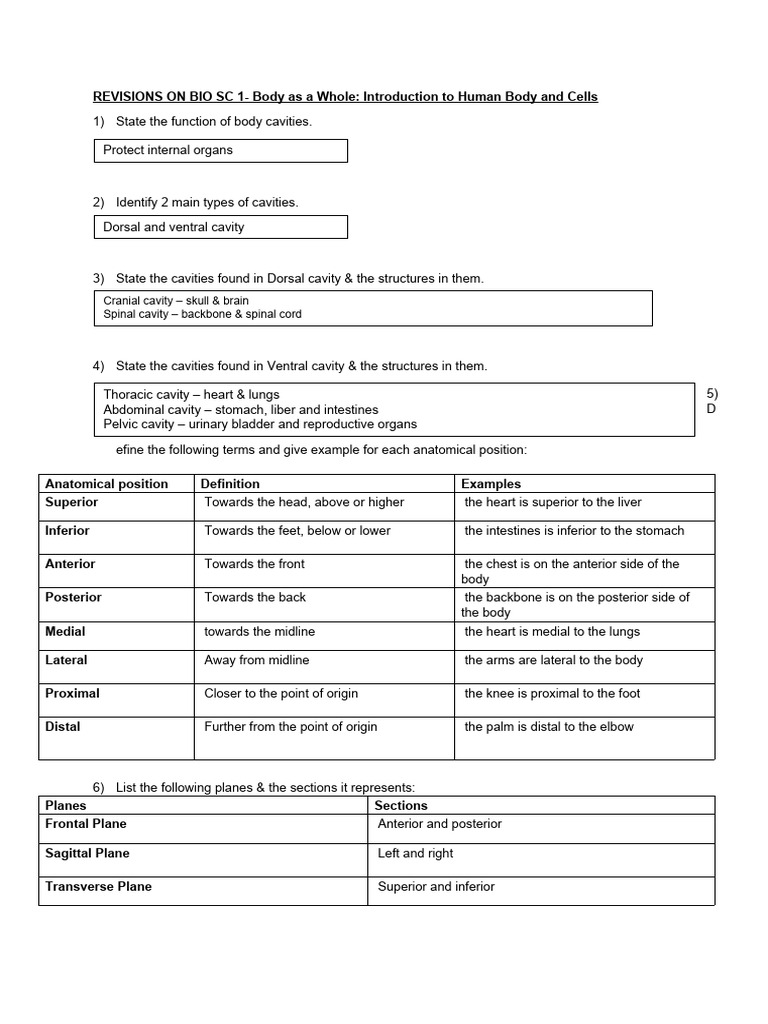 C1 - Introduction To Human Body & Cells | PDF | Anatomical Terms Of ...