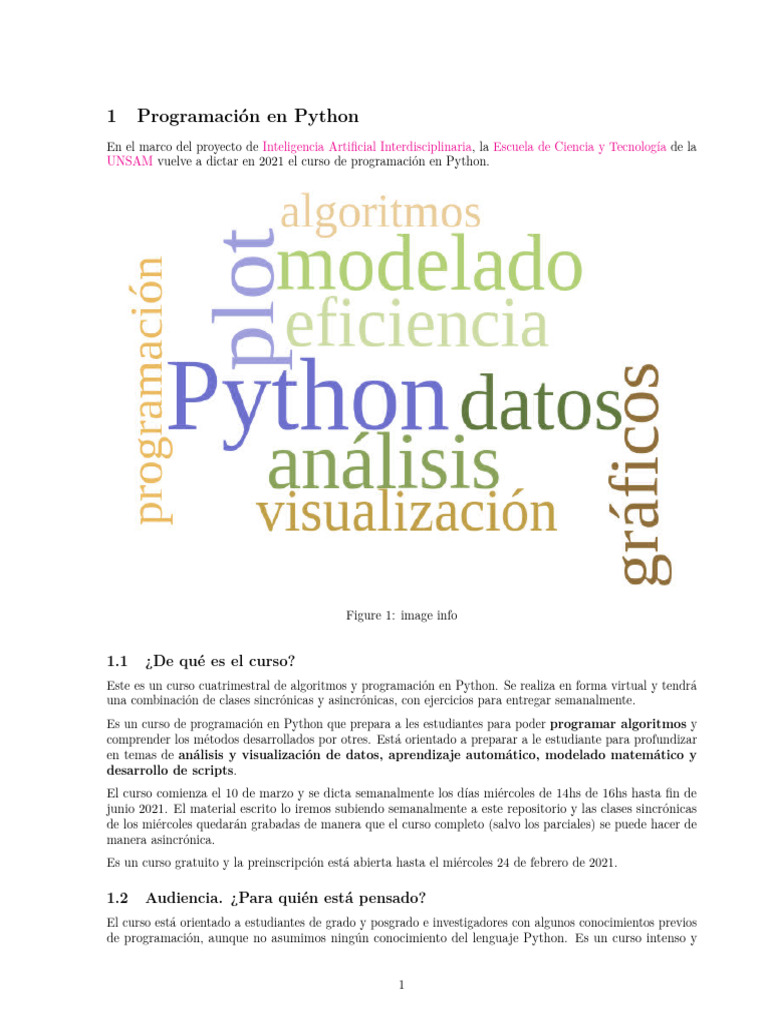 Curso Completo Python - UNSaM | PDF | Algoritmos | Programación de computadoras
