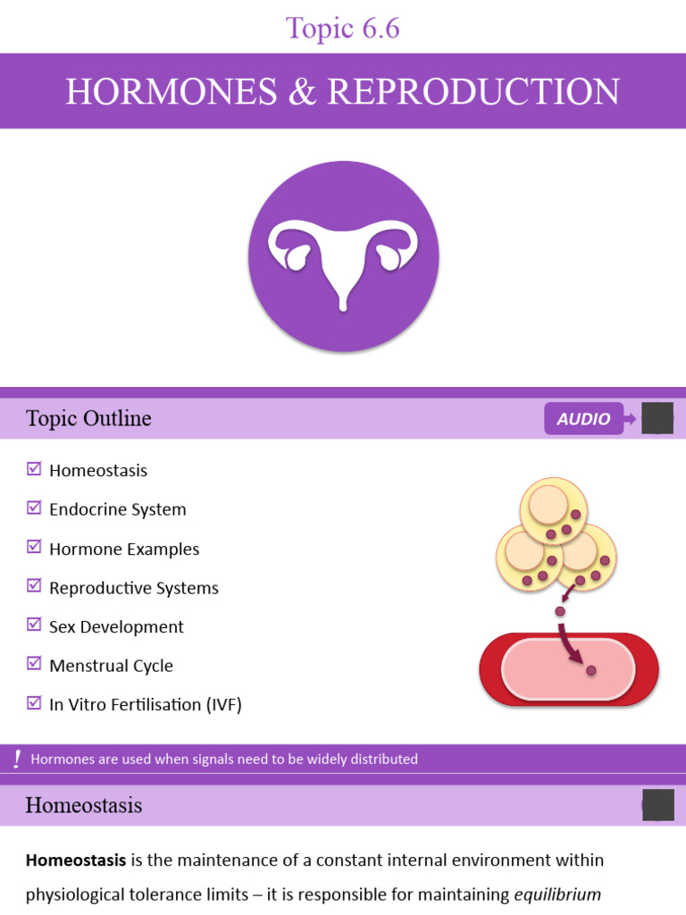 6.6 Hormones, Homeostasis & Reproduction | PDF | Menstrual Cycle | Ovary