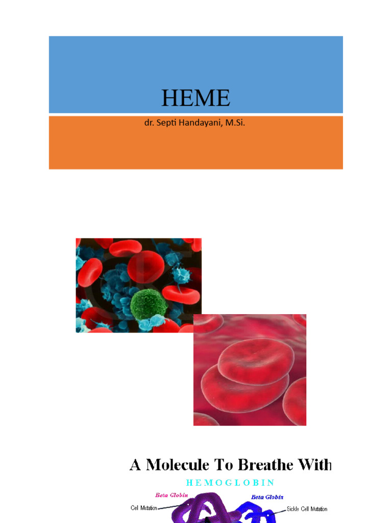 Struktur dan Fungsi Hemoglobin dan Heme | PDF