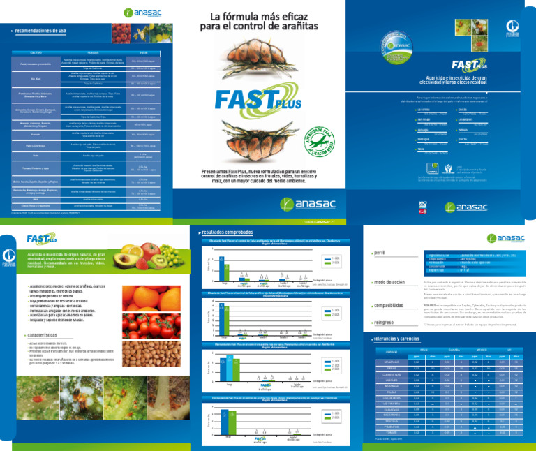 Folleto Fast Plus | PDF | Frutas comestibles | Cocina vegana
