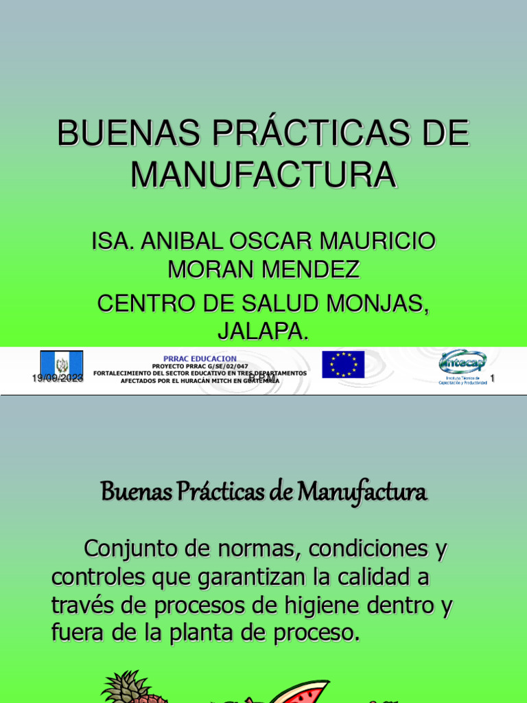 Buenas Prácticas de Manufactura | PDF | Levadura | Alimentos