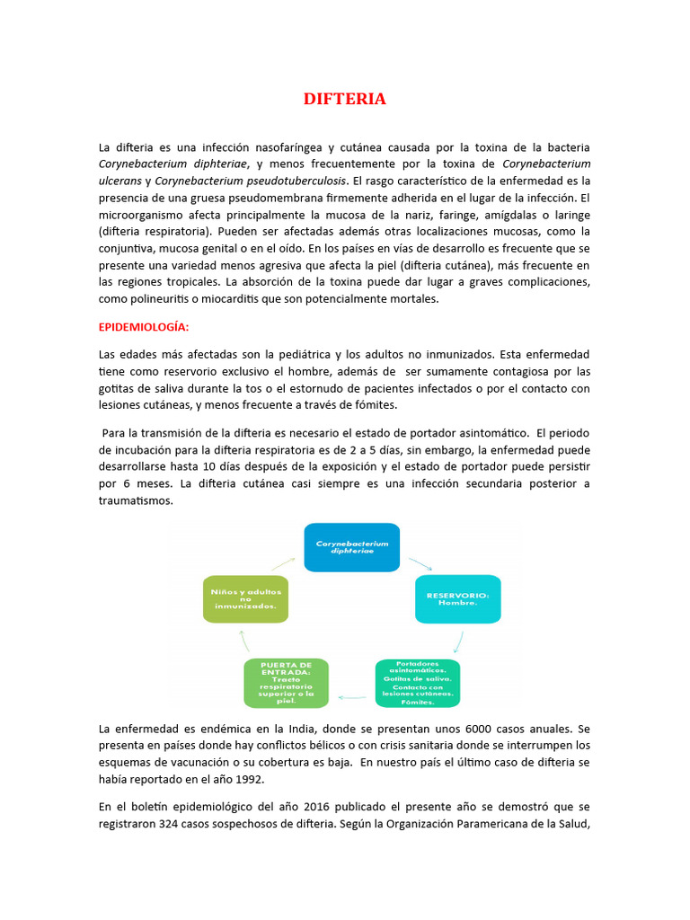 Difteria: Causas, Síntomas y Epidemiología | PDF | Medicina CLINICA ...
