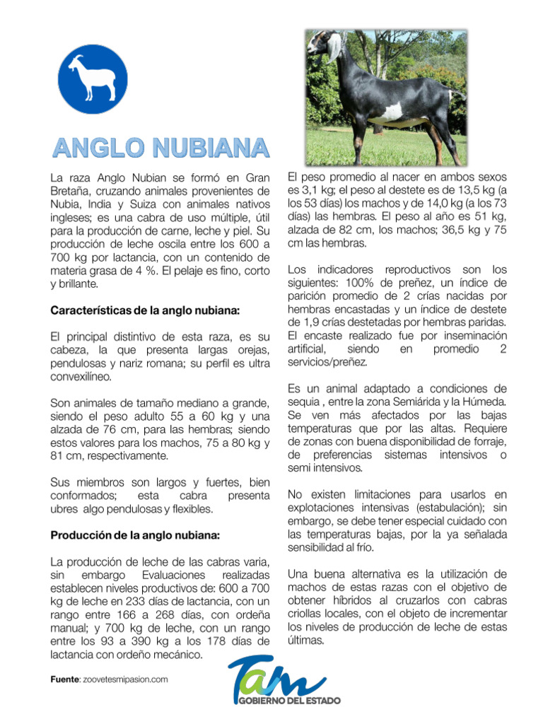 Anglo Nubiana | PDF