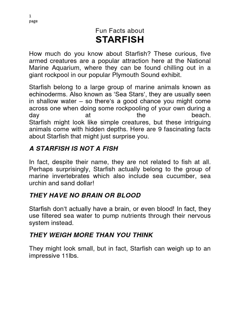 Fun Facts About Starfish | PDF | Oceanography | Organisms