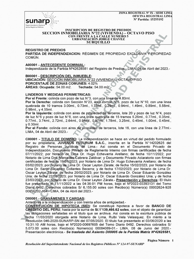 Partida 15255192 | PDF