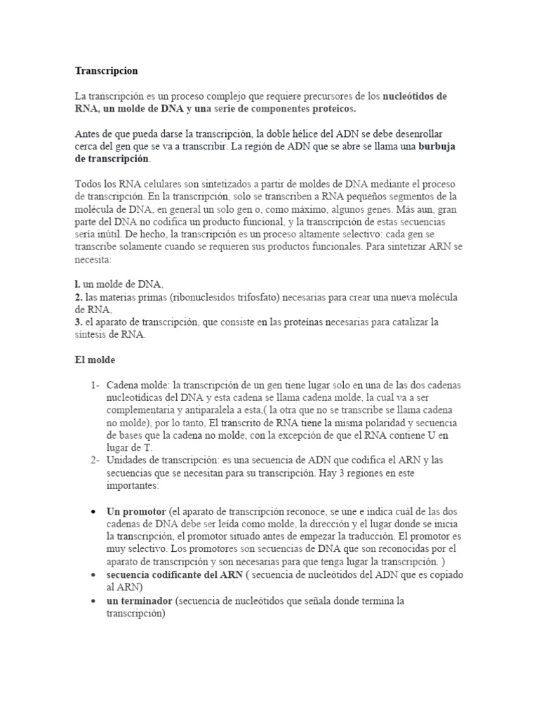 Transcripcion | PDF | Rna | Adn