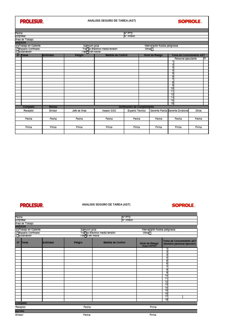 Formato AST rev 03 | PDF
