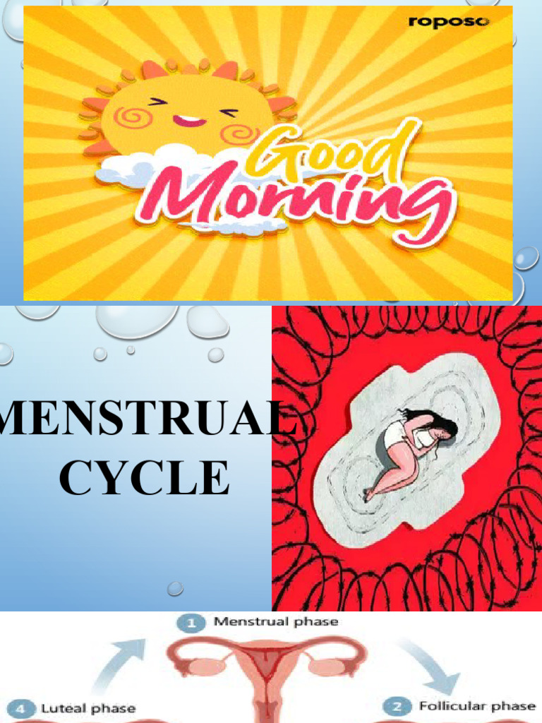 Menstrual Cycle Pdf Menstrual Cycle Luteinizing Hormone