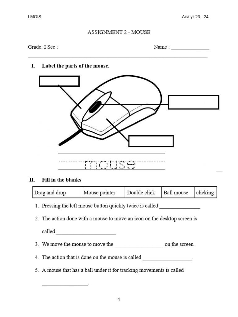 G1 - Mouse Worksheet | PDF
