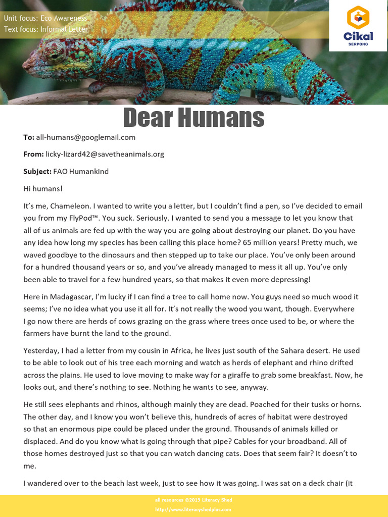 Year 5 DEAR TIME | PDF