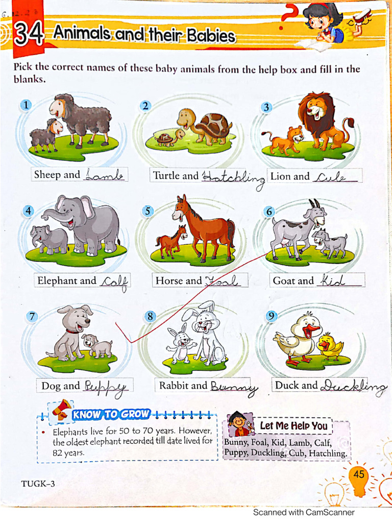 GK Textbook Pages | PDF