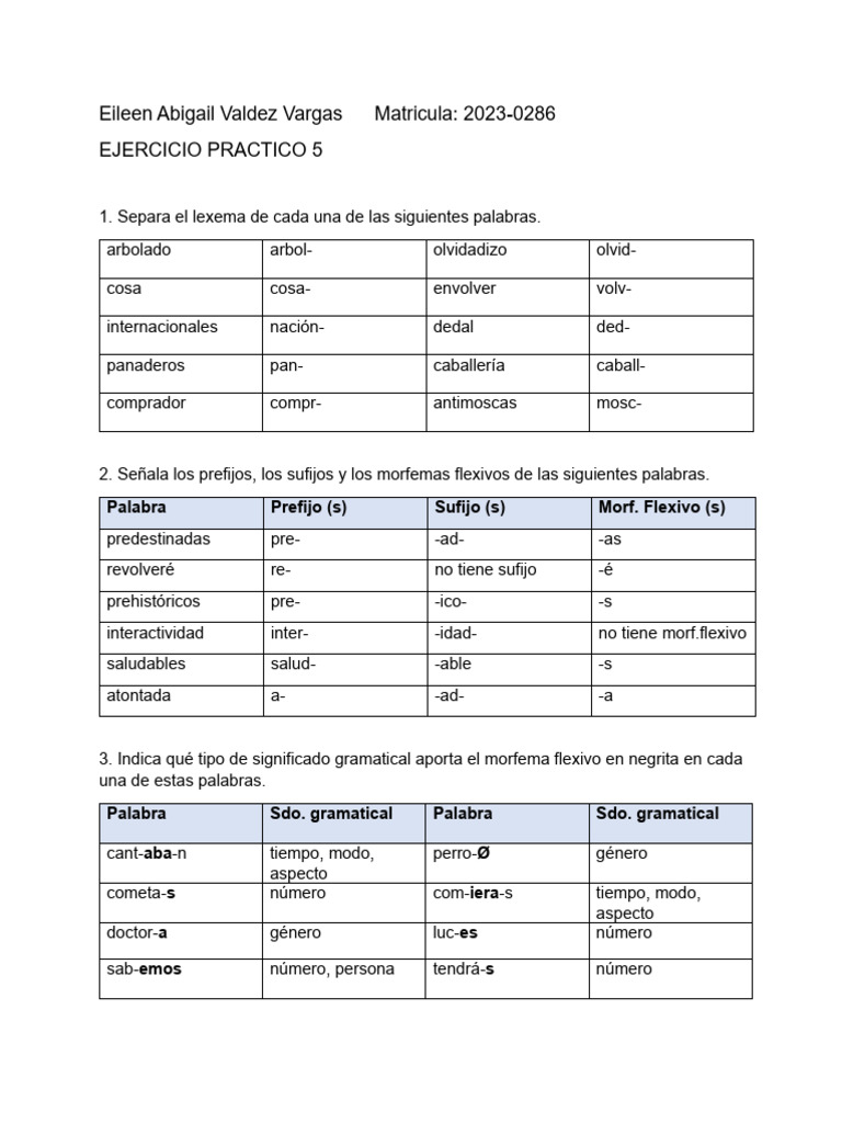 EJERCICIO PRACTICO 5 Redaccion Castellana | PDF | Palabra | Plural