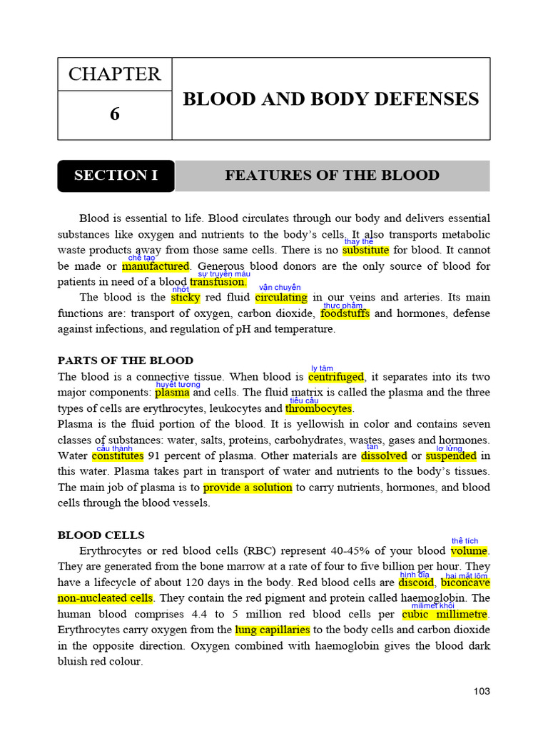 Blood Components and Immune Functions | PDF | Immune System | Lymphatic ...