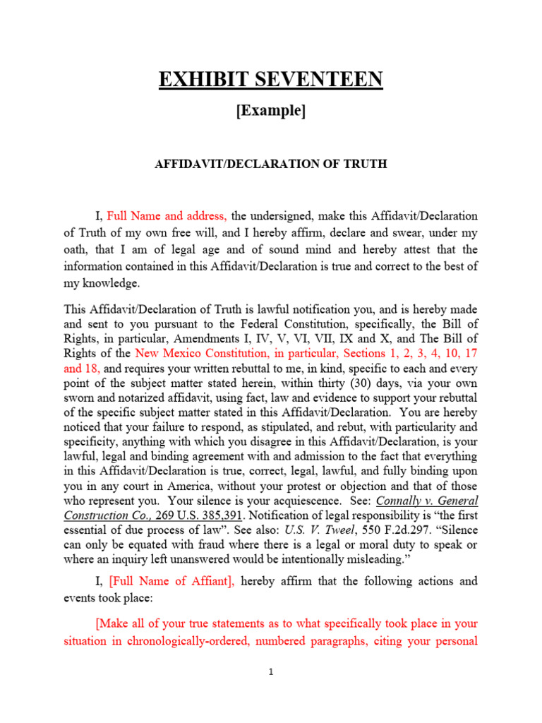 Exhibit Seventeen - Affidavit Example | Download Free PDF | Affidavit ...