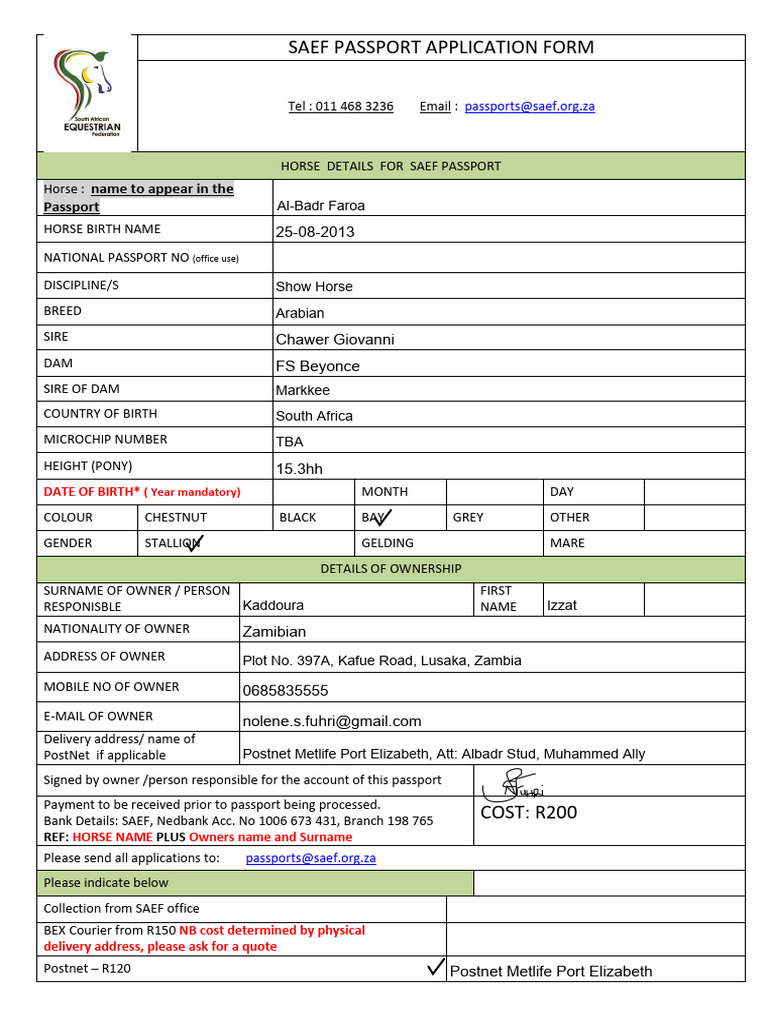 SAEF GRP IX Passport Application Current January 2023 | PDF