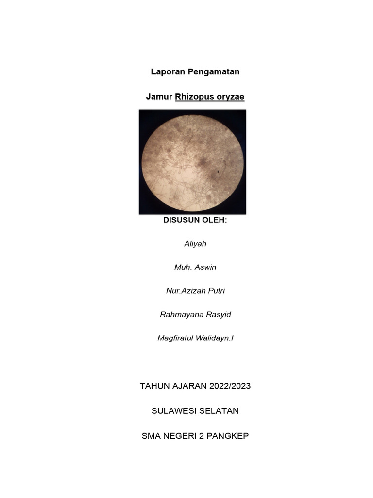 Laporan Pengamatan | PDF
