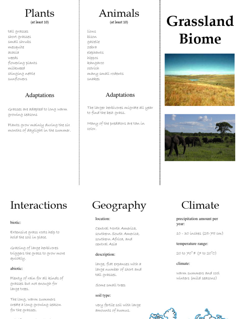Grassland Brochure | PDF | Home & Garden | Science & Mathematics