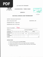 Grade 4 NST Term 3 Test | PDF