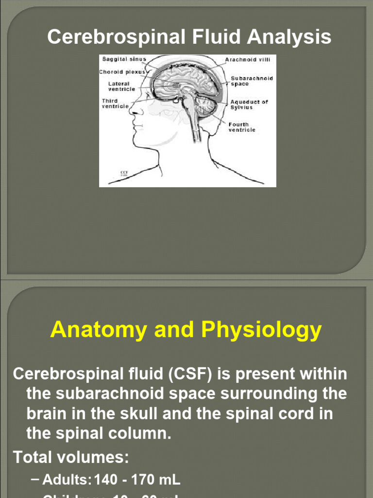20 CSF | PDF | Cerebrospinal Fluid | Clinical Medicine