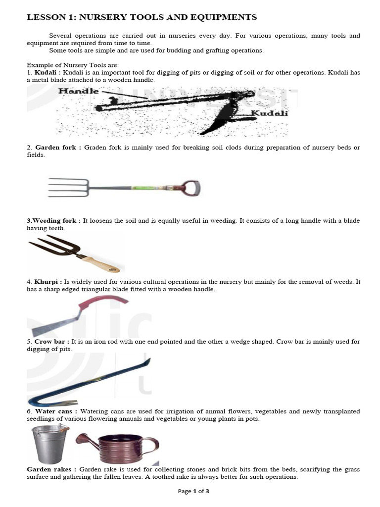 Module 1 Q3- Nursery Woks | PDF | Plant Nursery | Pruning
