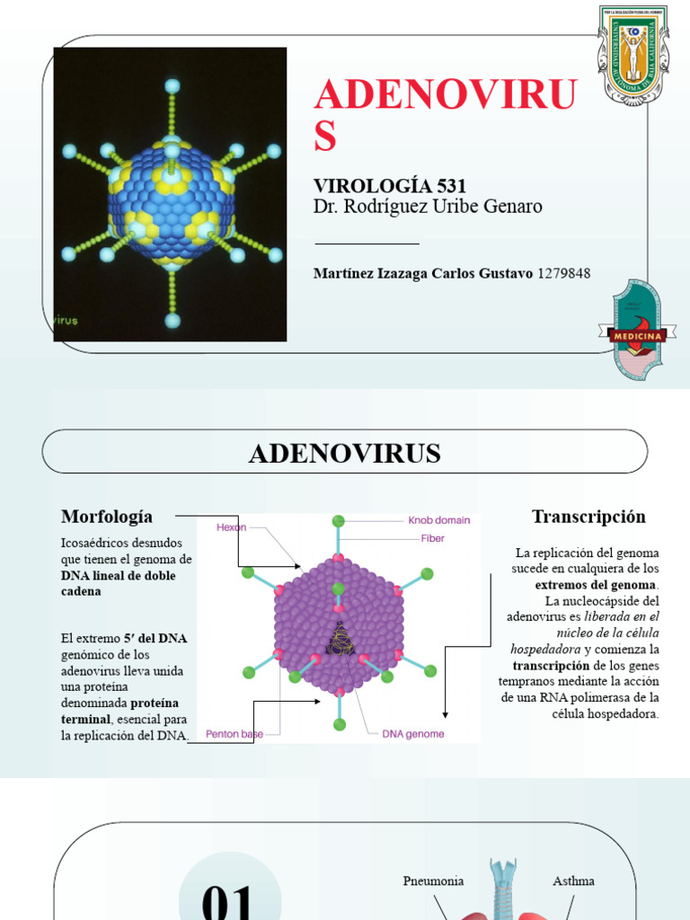 Adenovirus: Infecciones y Prevención | PDF | Neumonía | Adenoviridae