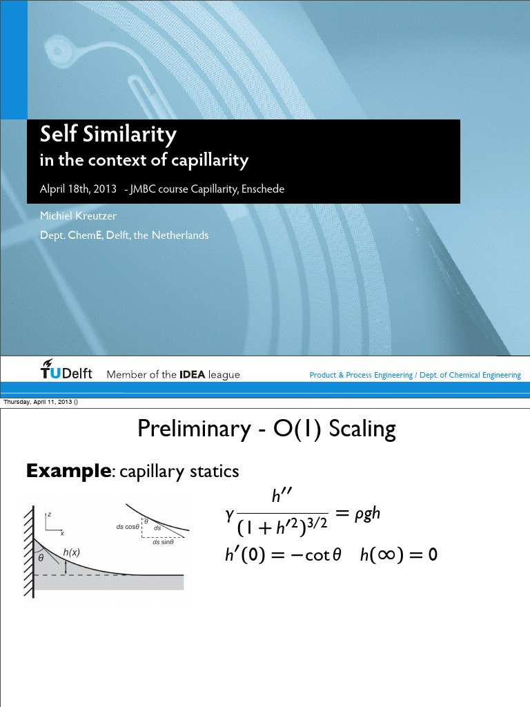 Selfsim | PDF | Ordinary Differential Equation | Partial Differential Equation