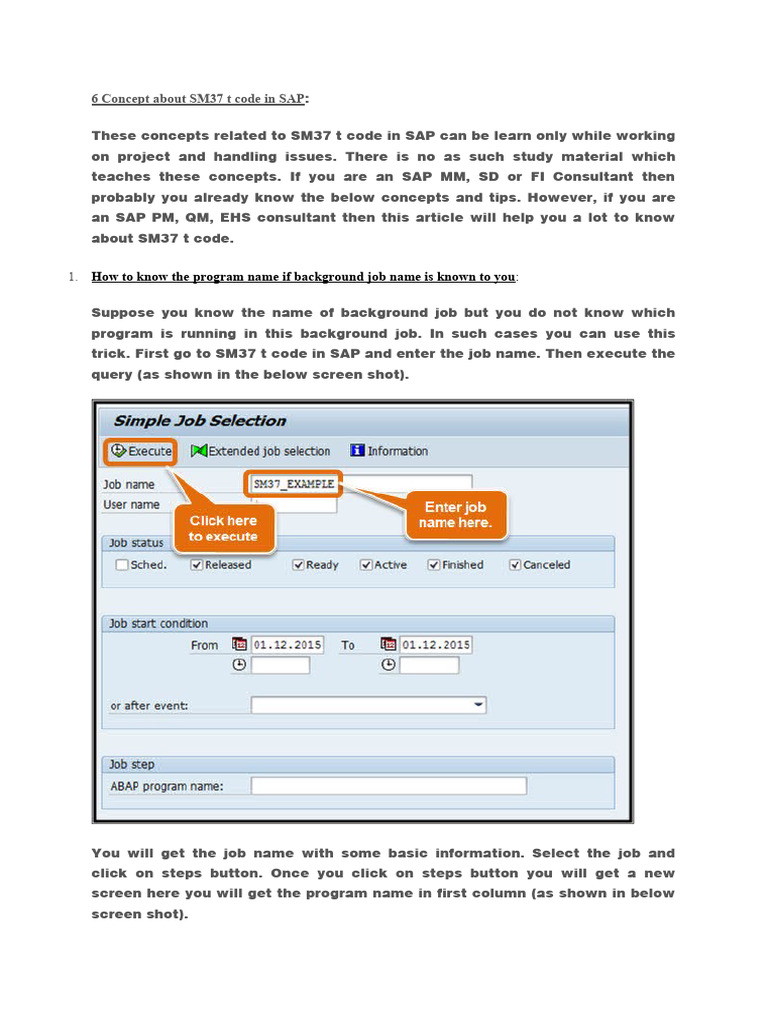 SAP SM37 T-Code: 6 Key Concepts | PDF | Consultant | Information ...