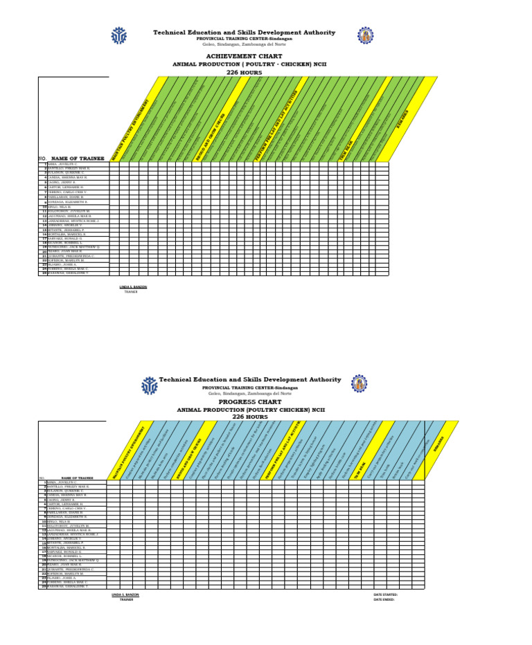 PROGRESS CHART-banzon Prepared | PDF
