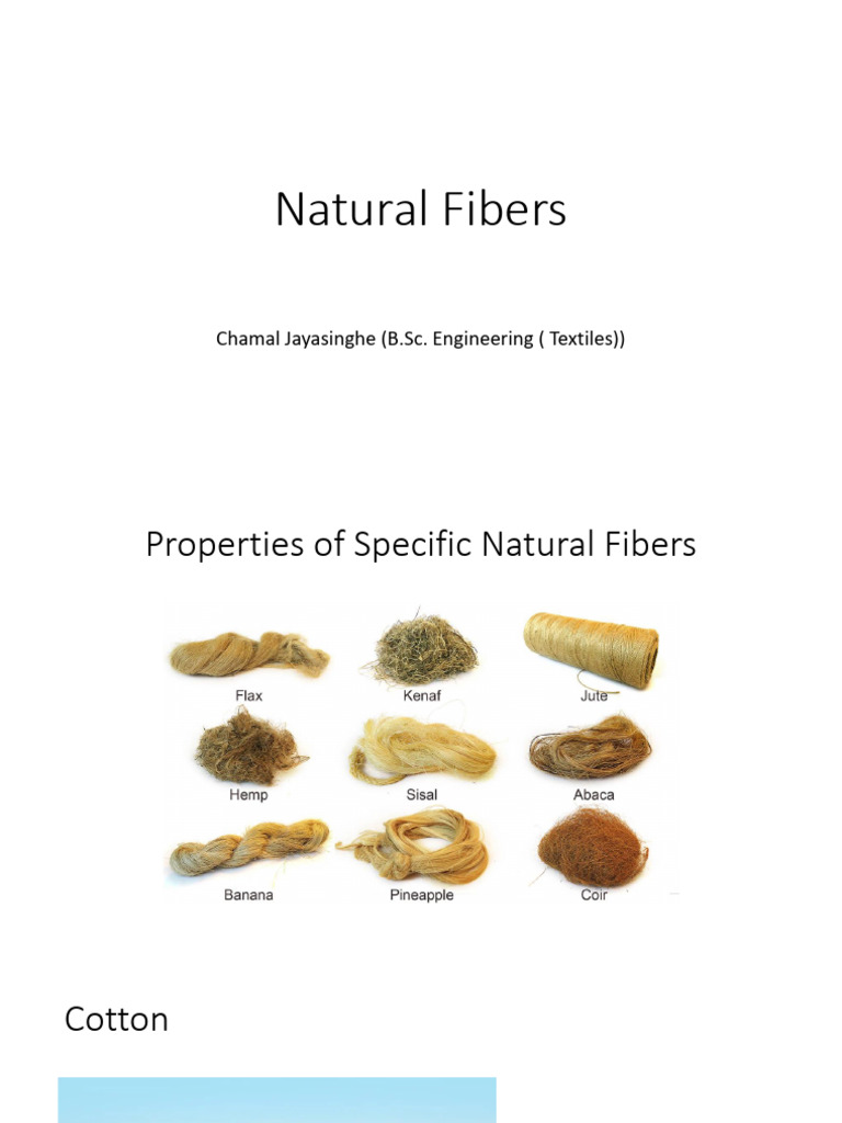 Fiber Science Presentation 2 | PDF