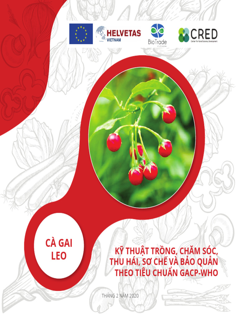 Booklet Ca - Gai - Leo | PDF