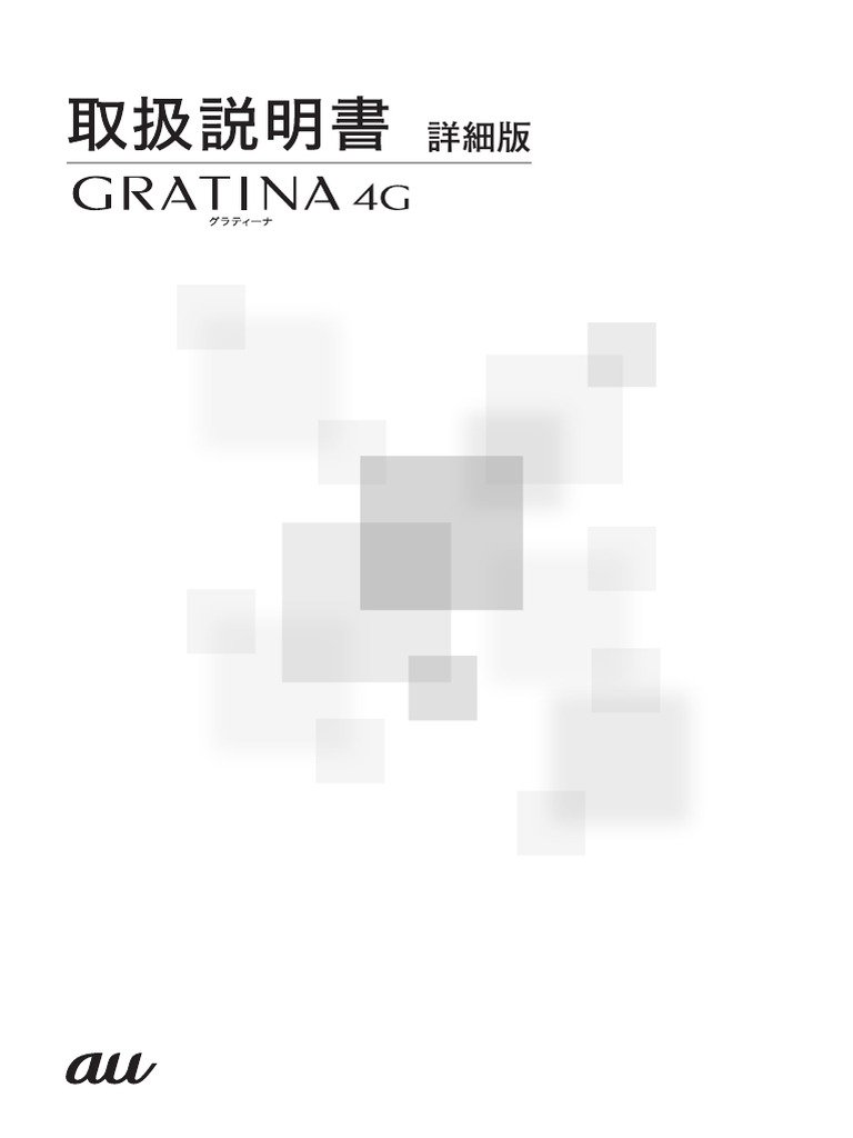 Gratina4g Torisetsu Shousai | PDF