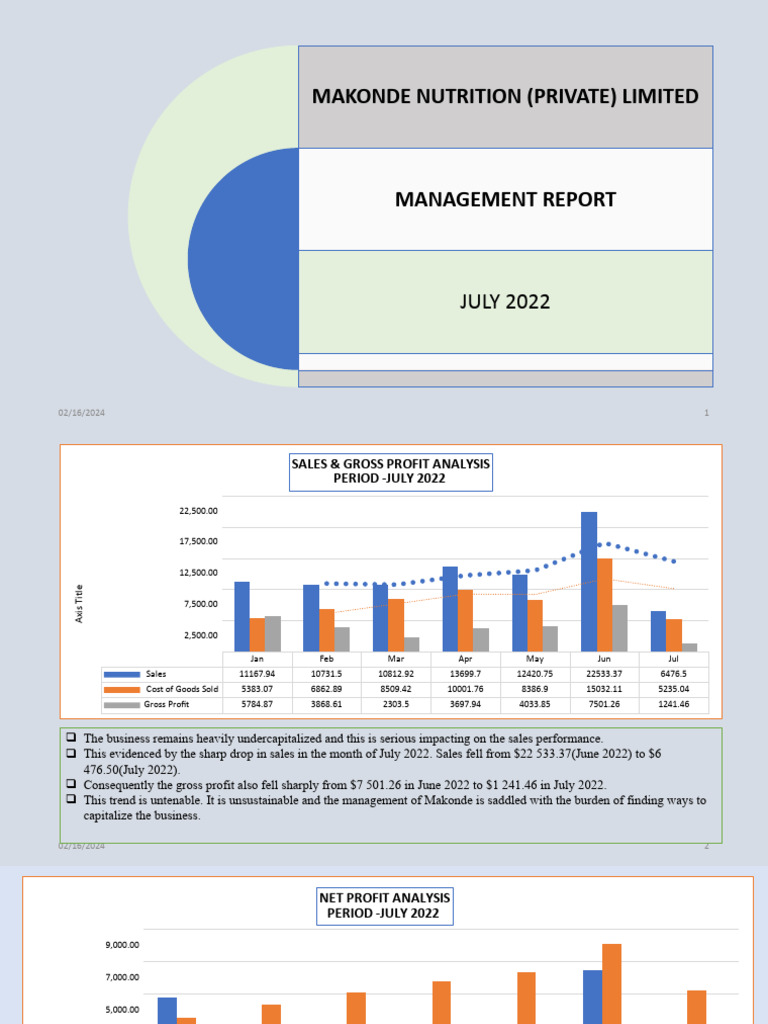 Presentation 1 | Download Free PDF | Equity (Finance) | Business Economics