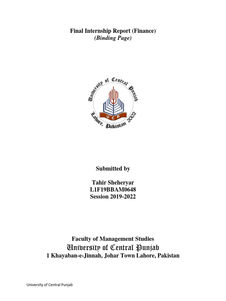 Internship Final Report Pdf Learning Expense 