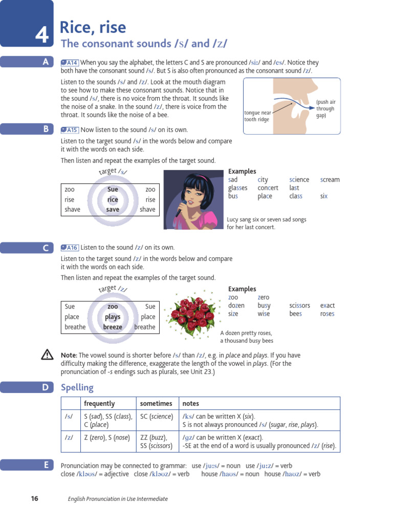 The Consonant Sounds Z-S | PDF | English Language | Linguistic Morphology