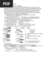 Year 7 SPaG Noun and Verb Exercises | PDF | Adverb | Adjective
