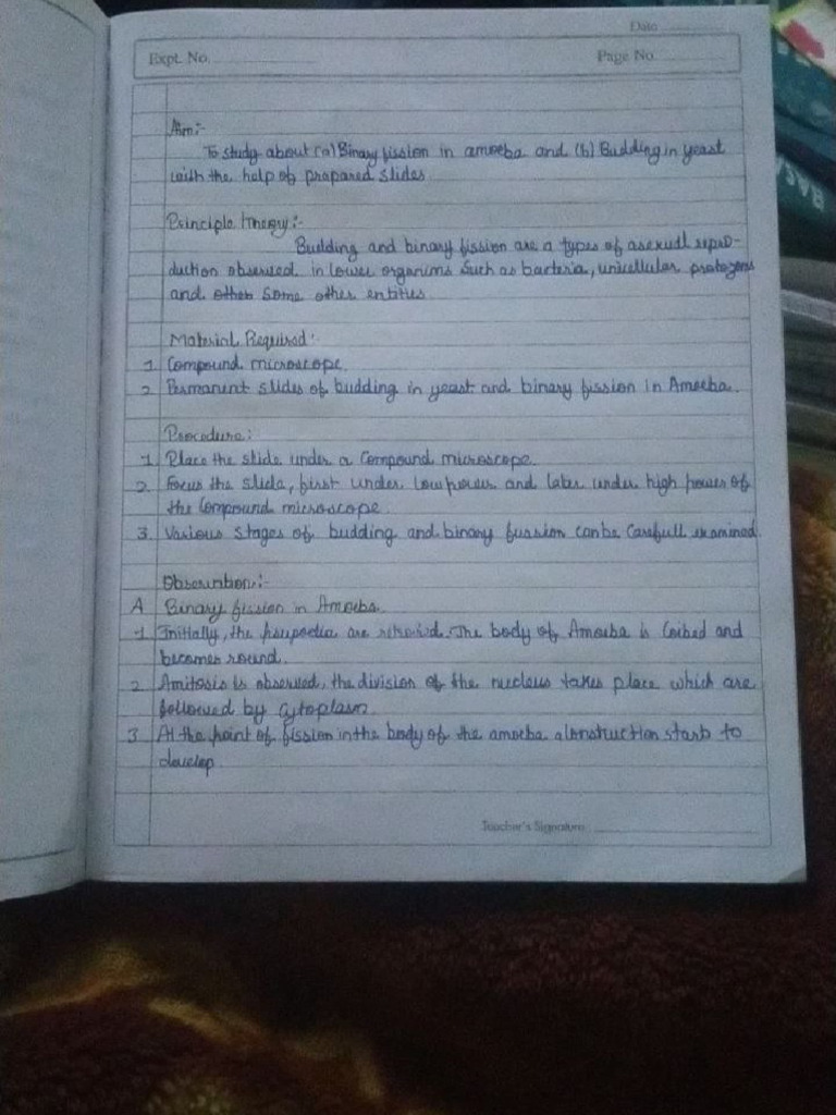 LLLLLLLLLLLLLLL | PDF