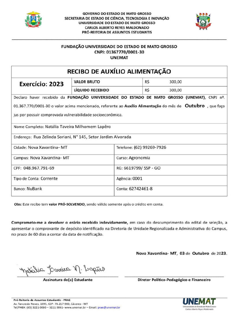 Recibo Ali 2023 | PDF