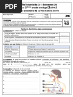 Respiration 1AC - ELALAOUI | PDF | Branchie | Respiration