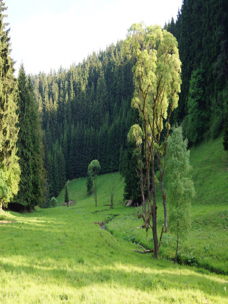 Example | Download Free PDF | John Doe