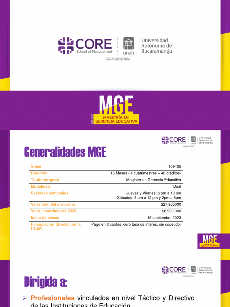 Mge PPT Ejecutiva | PDF