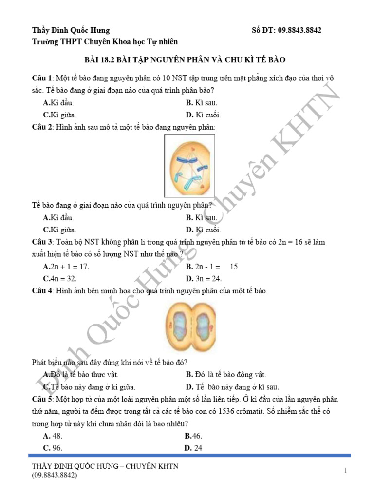 Bai 18.2 Bai Tap Nguyen Phan BT | PDF
